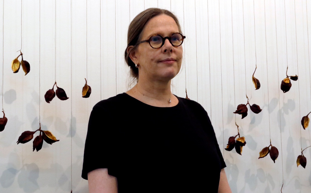 Las rosas en invierno buscan germinar en tiempos mejores