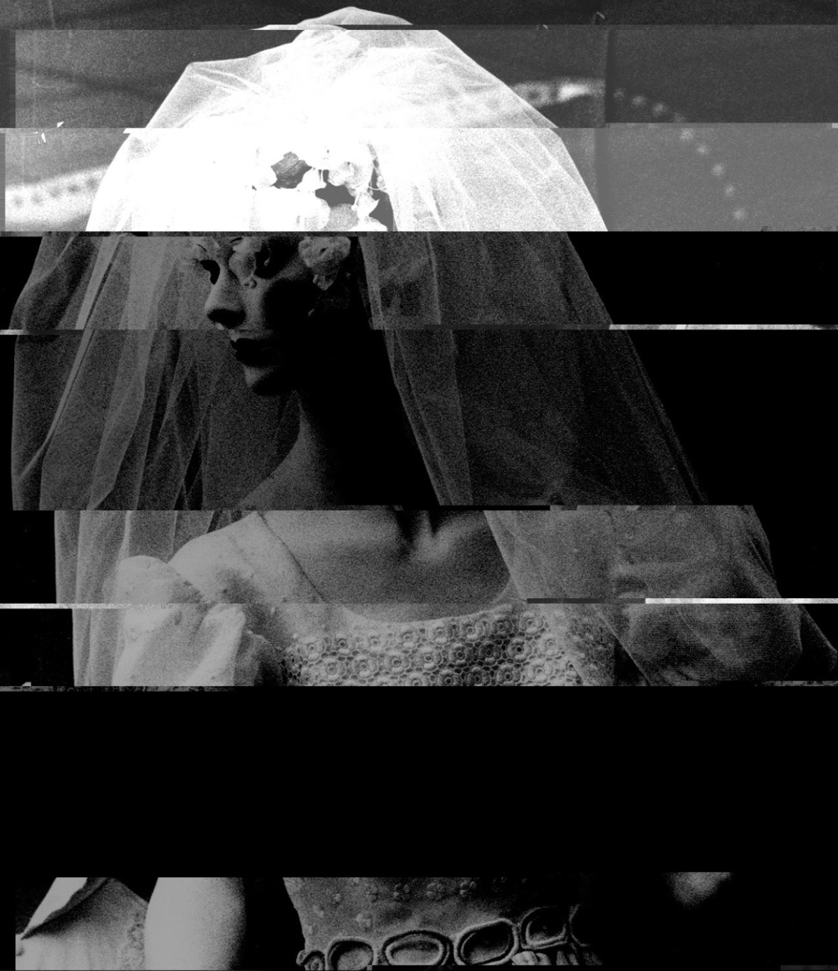 Artes visuales venezolanas y fotografía tomarán el sábado la Hacienda ...