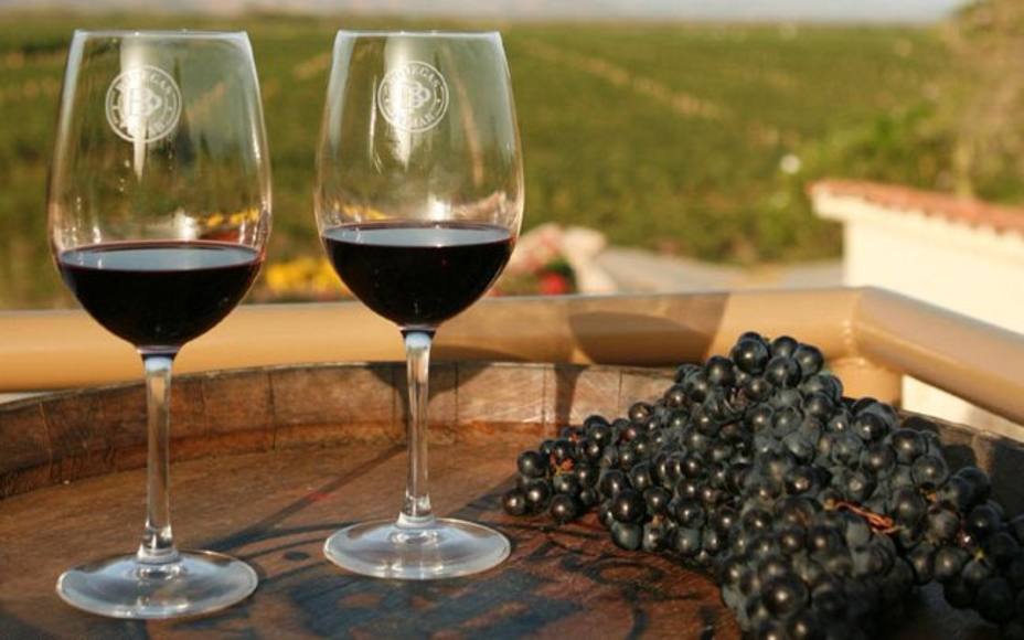 Bodegas Pomar celebrará su primera vendimia 2021 en formato digital