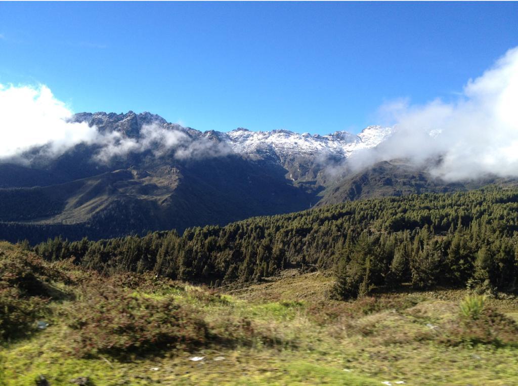 Mérida la resiliente, se viste de blanco en esta temporada