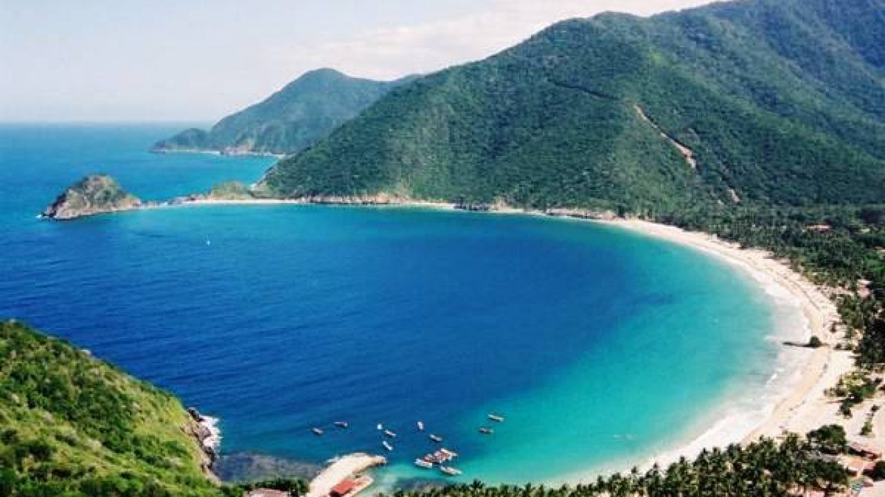 Sensilis y Olivares se unen para generar conciencia medioambiental en ...