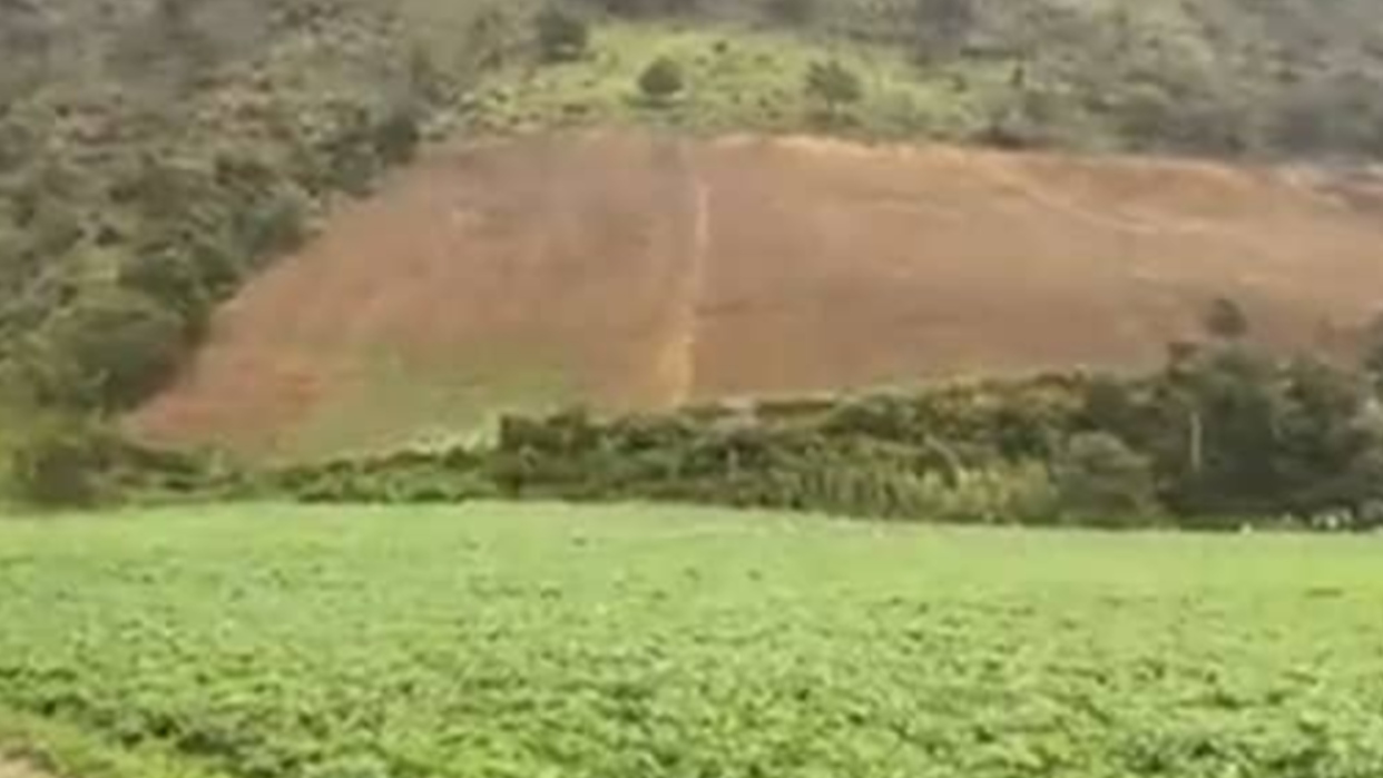 Pequiven desarrolla en Mérida parcelas demostrativas para evaluar cultivos