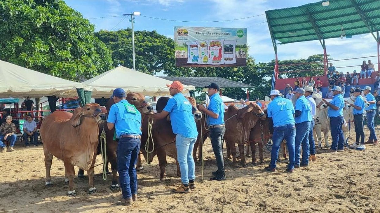 Segundo día de la IV Feria Ganadera Agroindustrial Padraza 2023