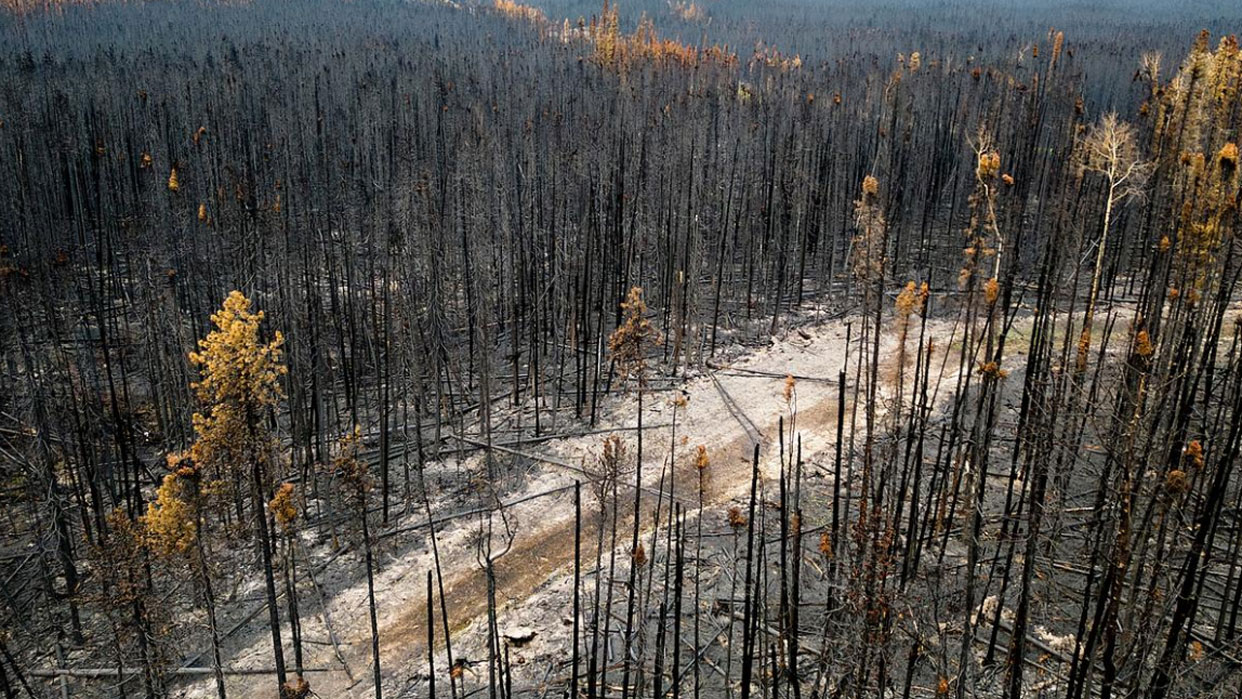 El Oeste De Canadá Declara El Estado De Emergencia Ante El Crecimiento