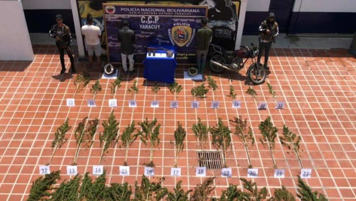 La Policía venezolana detiene a tres personas por el tráfico de casi 22 kilos de marihuana
