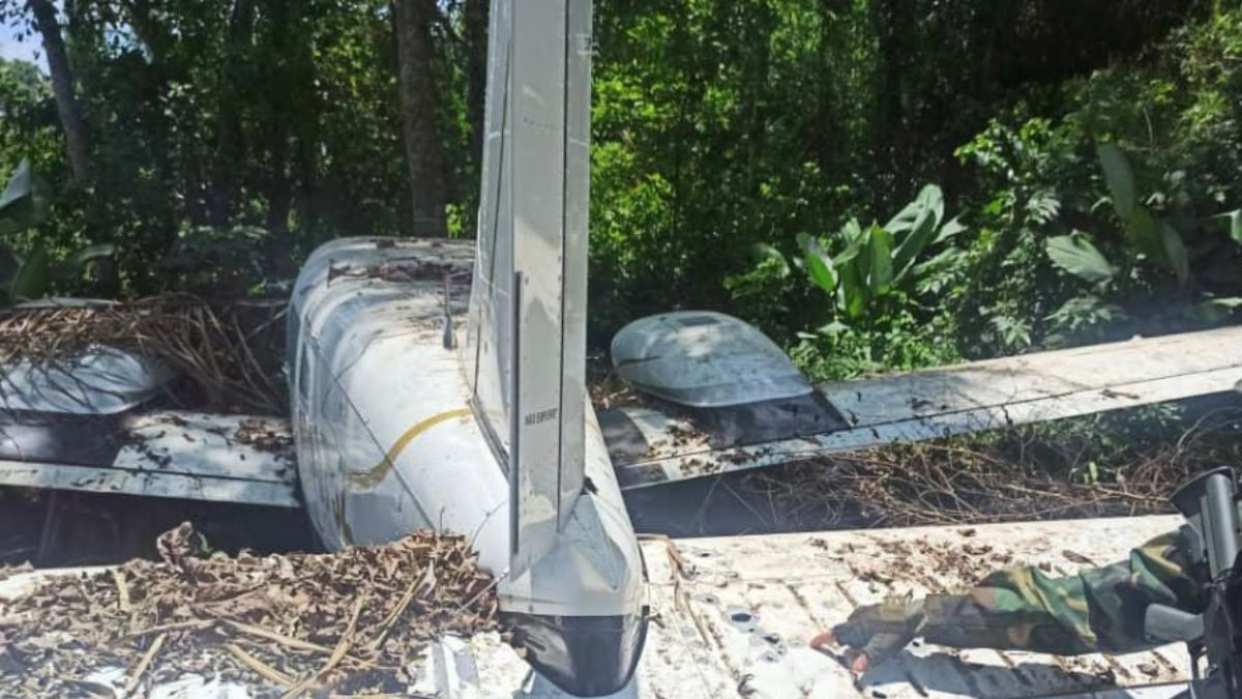 FANB inmoviliza aeronave que aterrizó sin autorización en Apure