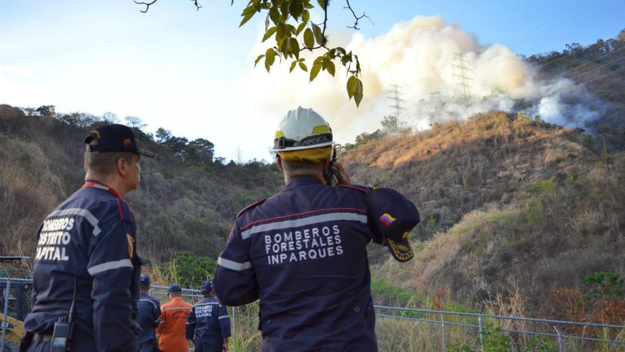 Afectadas Más De 61 Mil Hectáreas A Causa De Los Incendios Forestales 0670