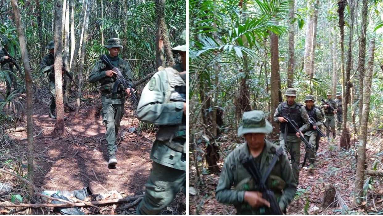 Destruyen galerías en la Reserva Forestal La Paragua