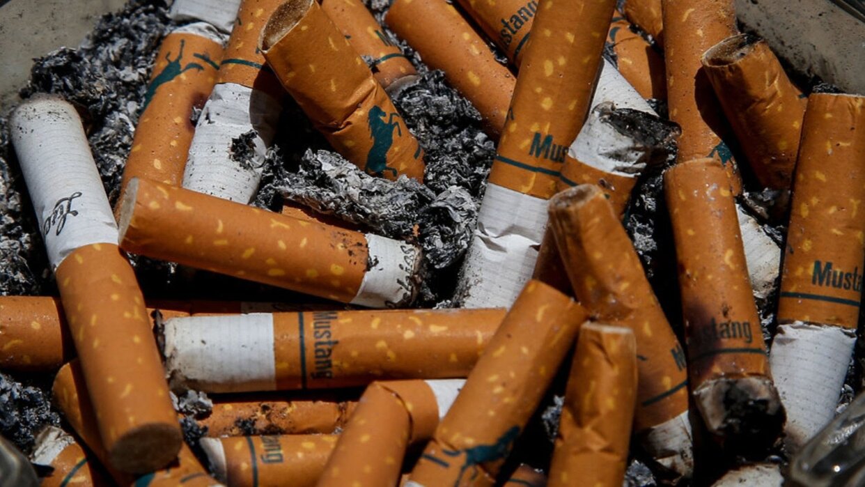 Día Mundial sin Tabaco: recomendaciones para evitar el consumo del ...