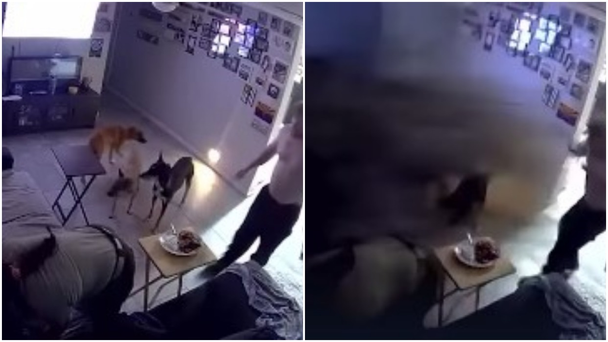 En Video: Dos personas fueron embestidas por un auto fuera de control ...