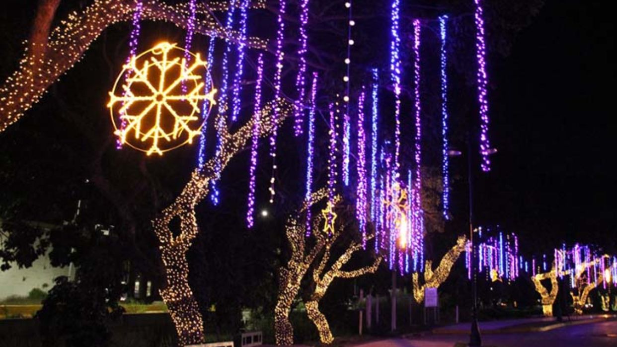 Mega concierto en el Parque Monumental Ana María Campos en el Zulia por ...